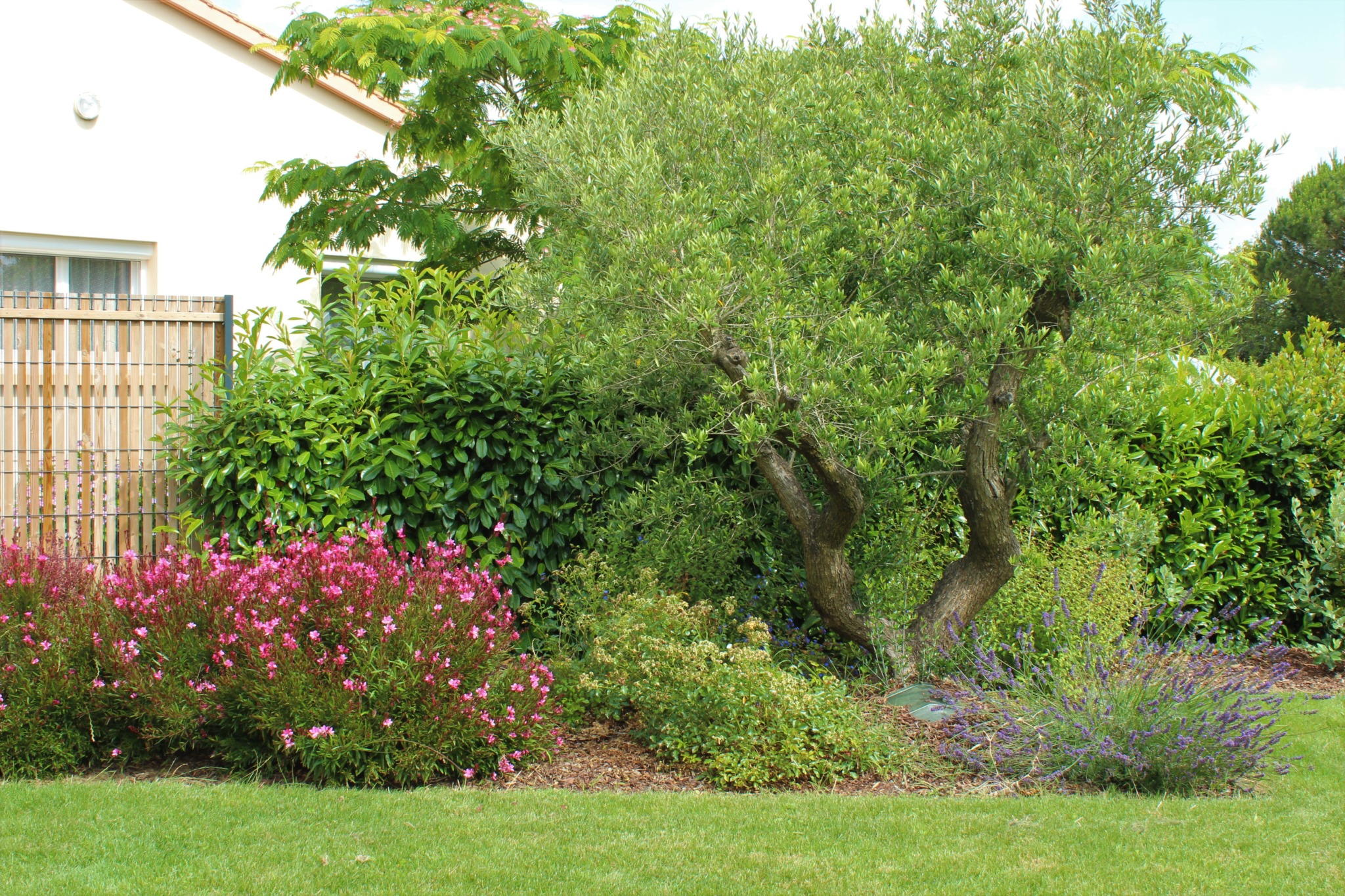 JARDIN VEGETAL · Marmin paysage